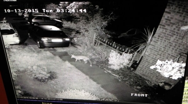 Spy Alarms Night Vision CCTV Cameras For Your Home - Spy Alarms